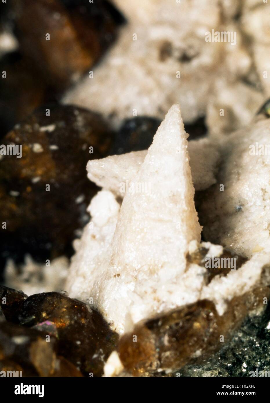 Cuspidine hi-res stock photography and images - Alamy