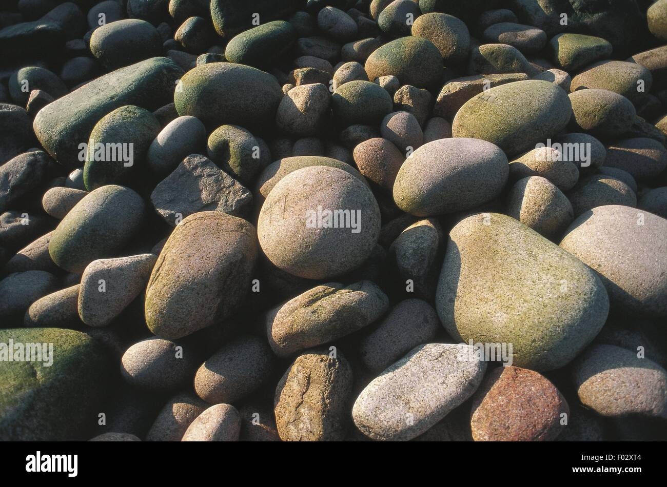 USA, Maine, Acadia National Park, pebble stones on beach Stock Photo ...