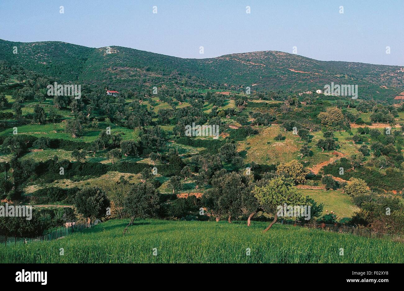 Euboea greece hi-res stock photography and images - Alamy