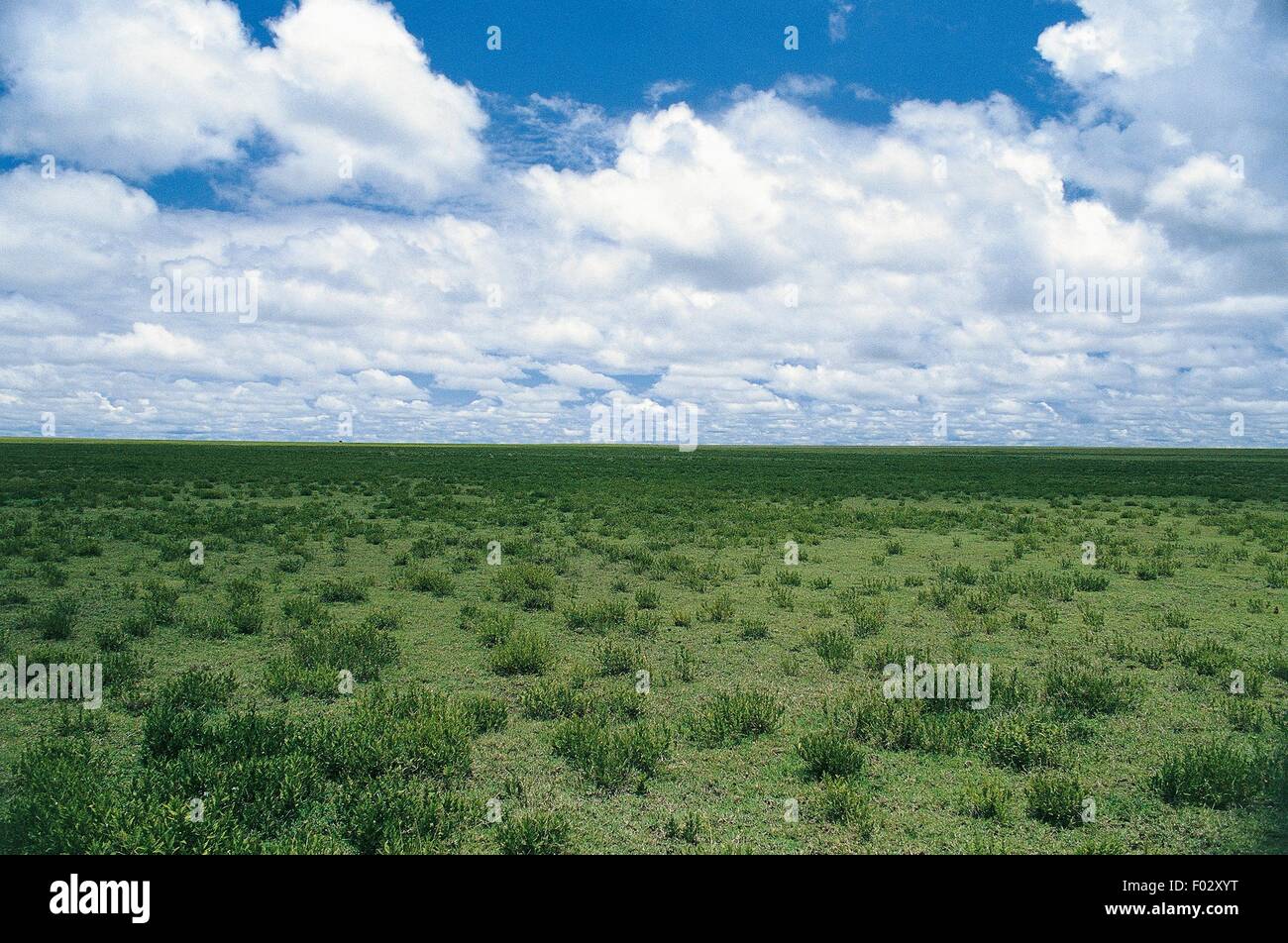 Open savannah, Serengeti National Park (UNESCO World Heritage List ...