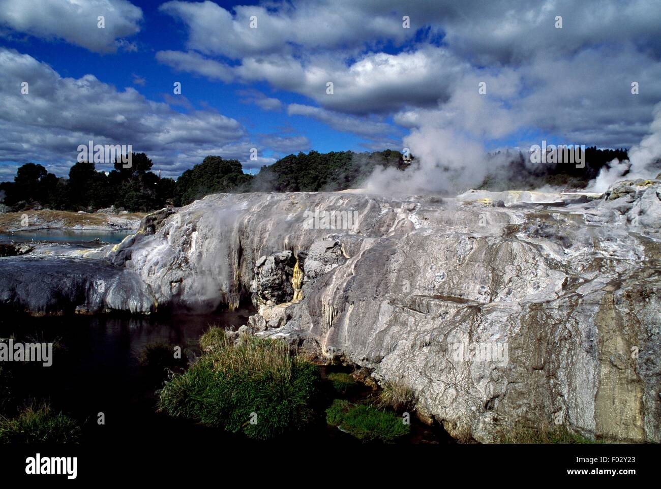 Fumaroles, geothermal area of Whakarewarewa, Rotorua, North Island, New ...