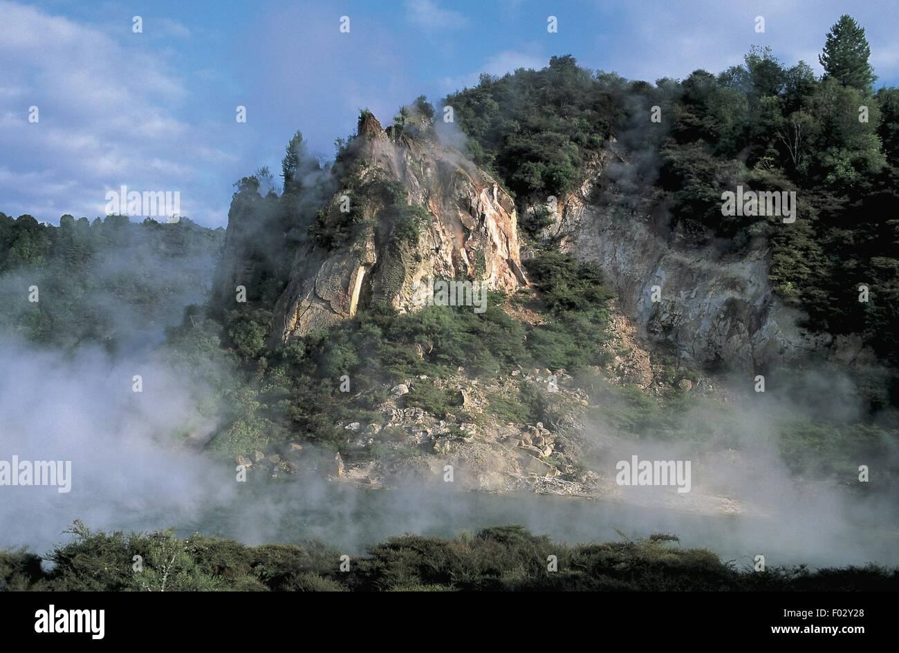 New Zealand - North Island - Rotorua. Waimangu Volcanic Valley Stock ...