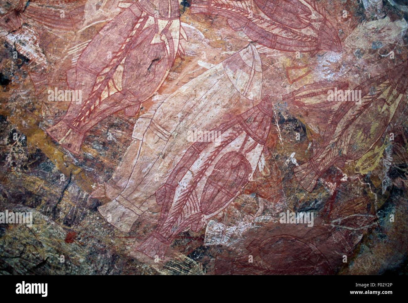 Aboriginal cave paintings, Kakadu National Park (UNESCO World Heritage List, 1981), Northern ...
