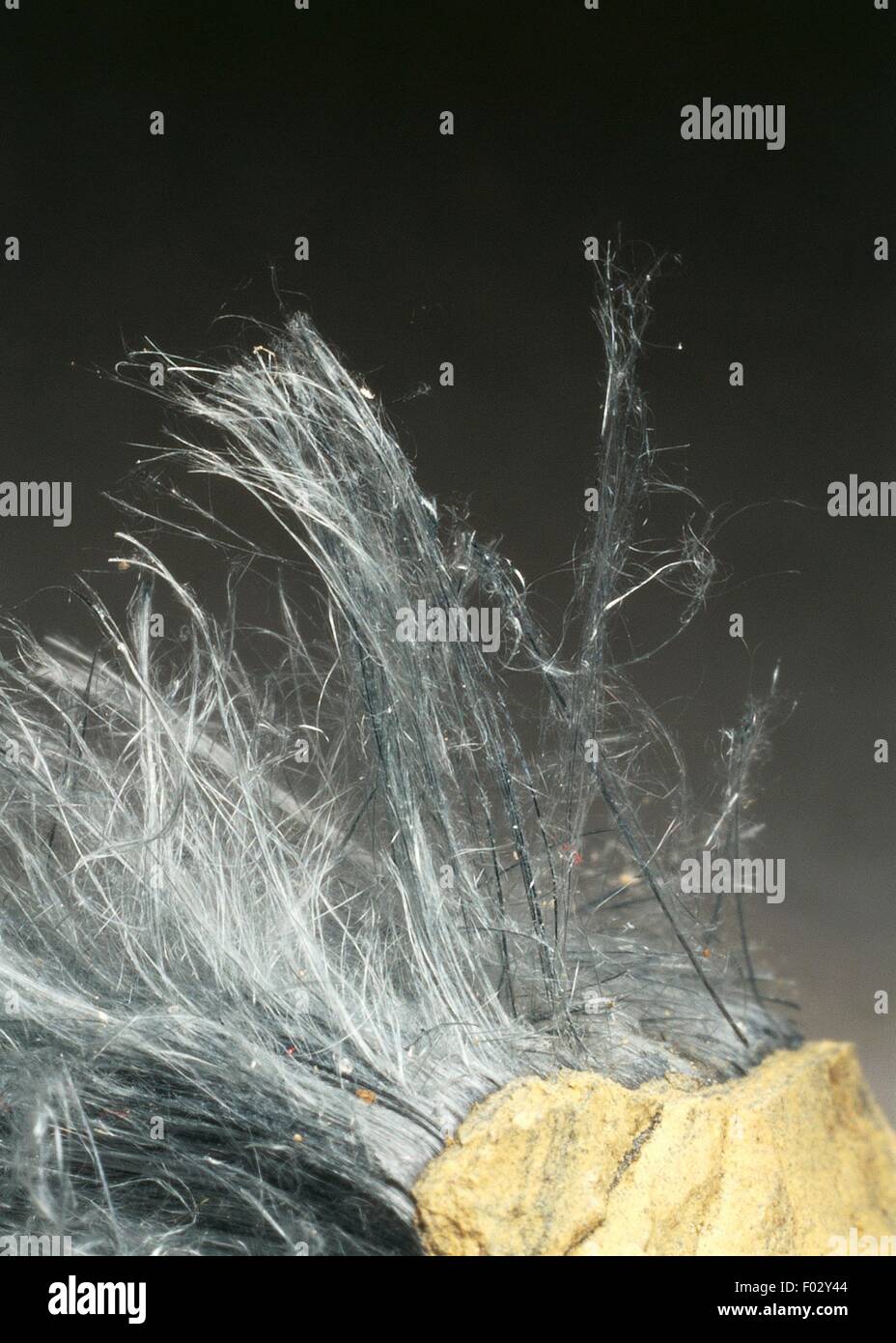 Crocidolite hi-res stock photography and images - Alamy