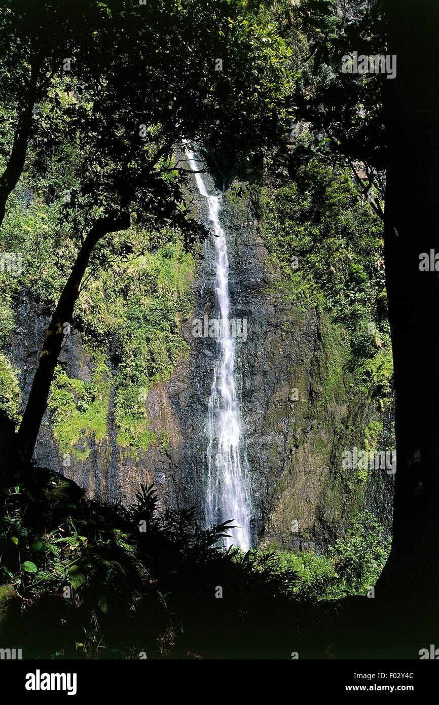 French polynesia tahiti waterfalls hi-res stock photography and images ...
