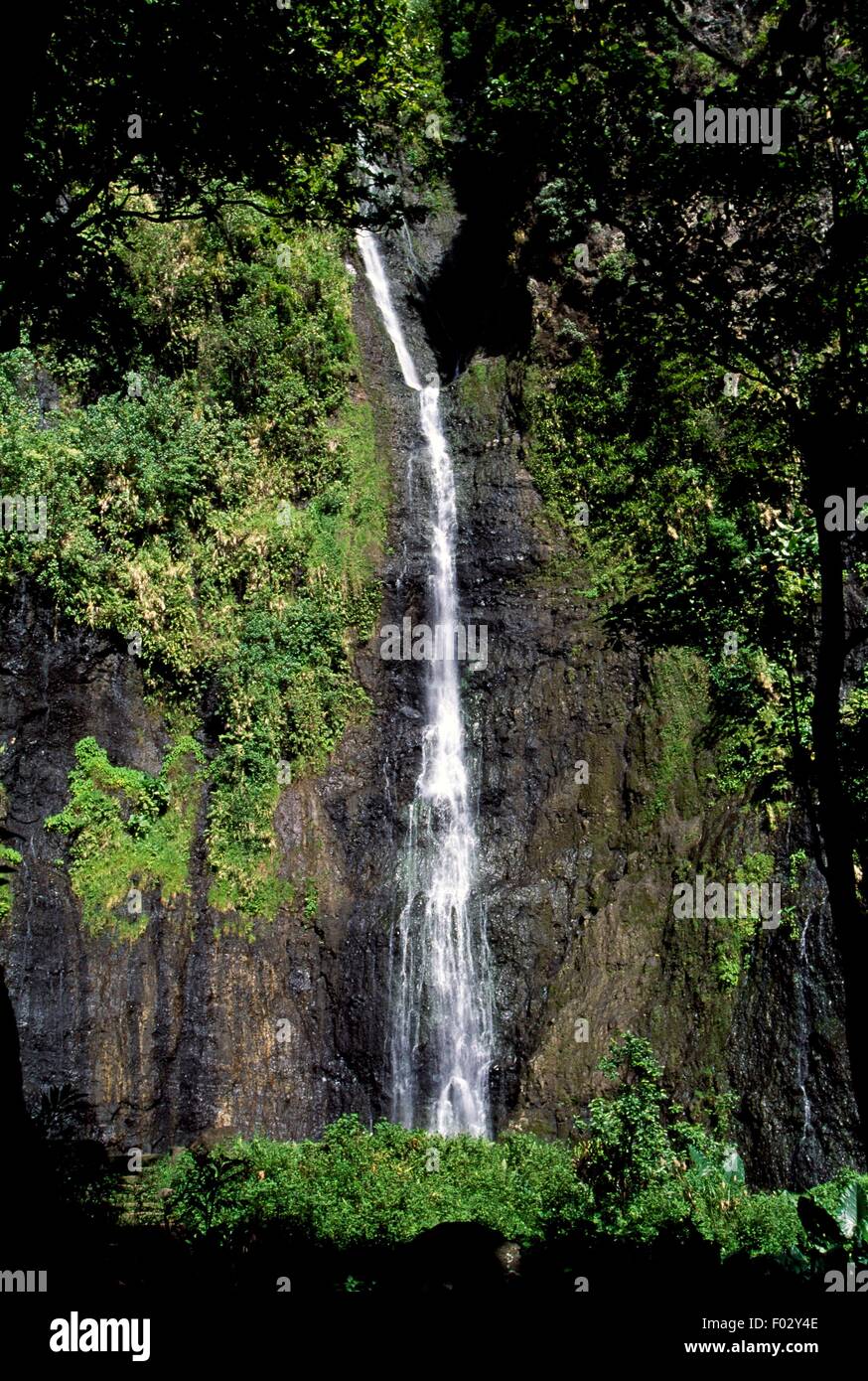 French polynesia tahiti waterfalls hi-res stock photography and images ...