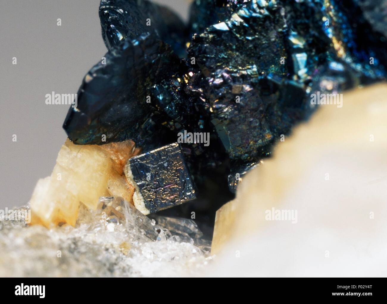 Ullmann hi-res stock photography and images - Alamy