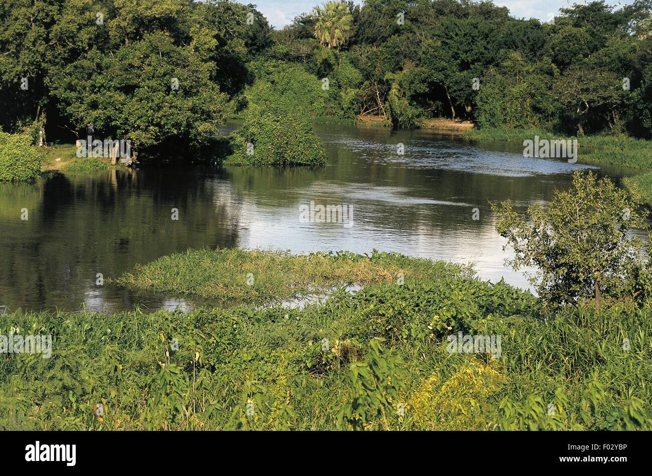 Lagoon, Gran Chaco, Paraguay Stock Photo - Alamy
