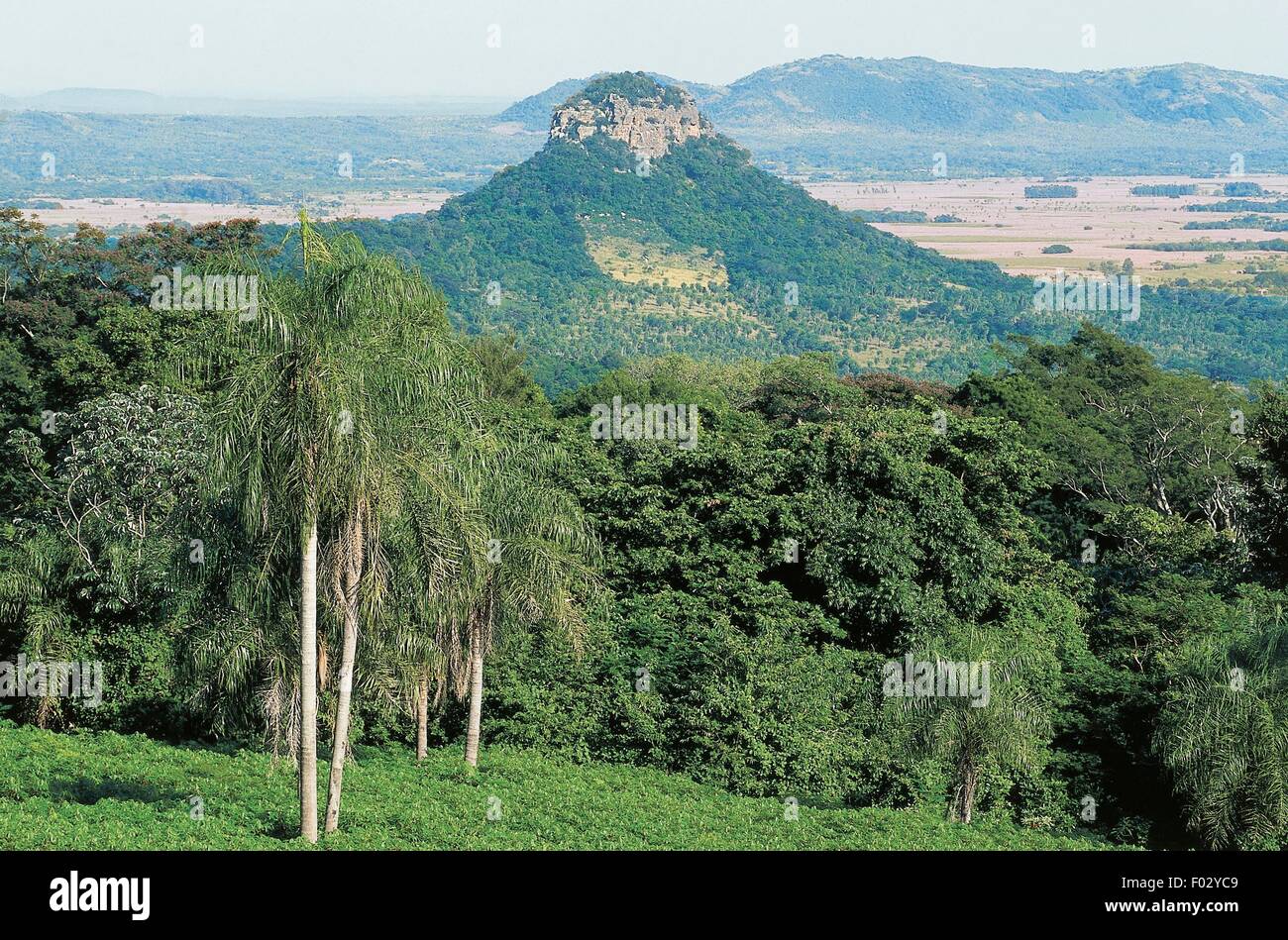 Landscape, Cordillera Central, Paraguay Stock Photo - Alamy
