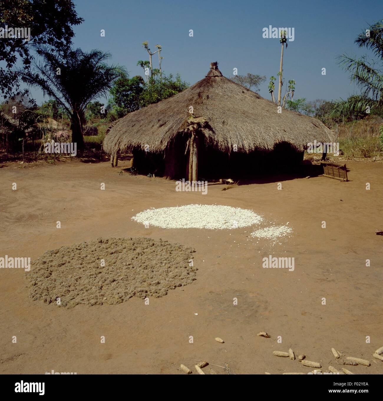 Gangala hi-res stock photography and images - Alamy