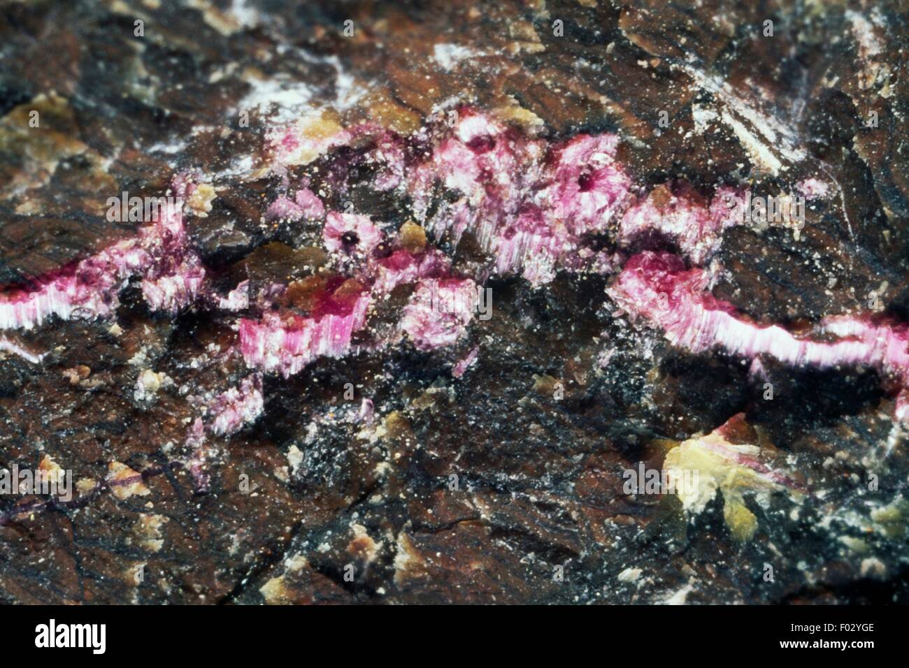 Sticht hi-res stock photography and images - Alamy