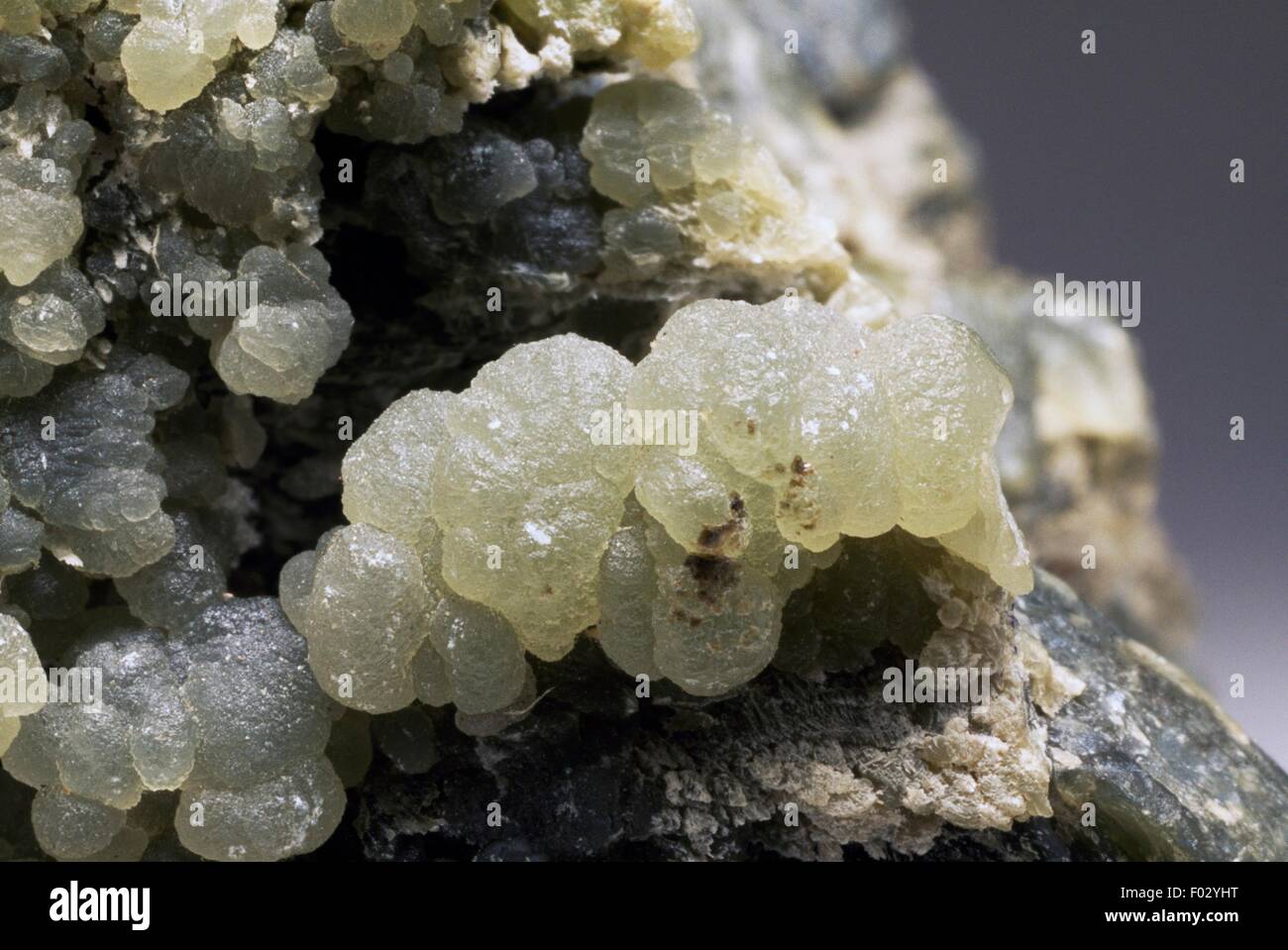 Steatite hi-res stock photography and images - Alamy