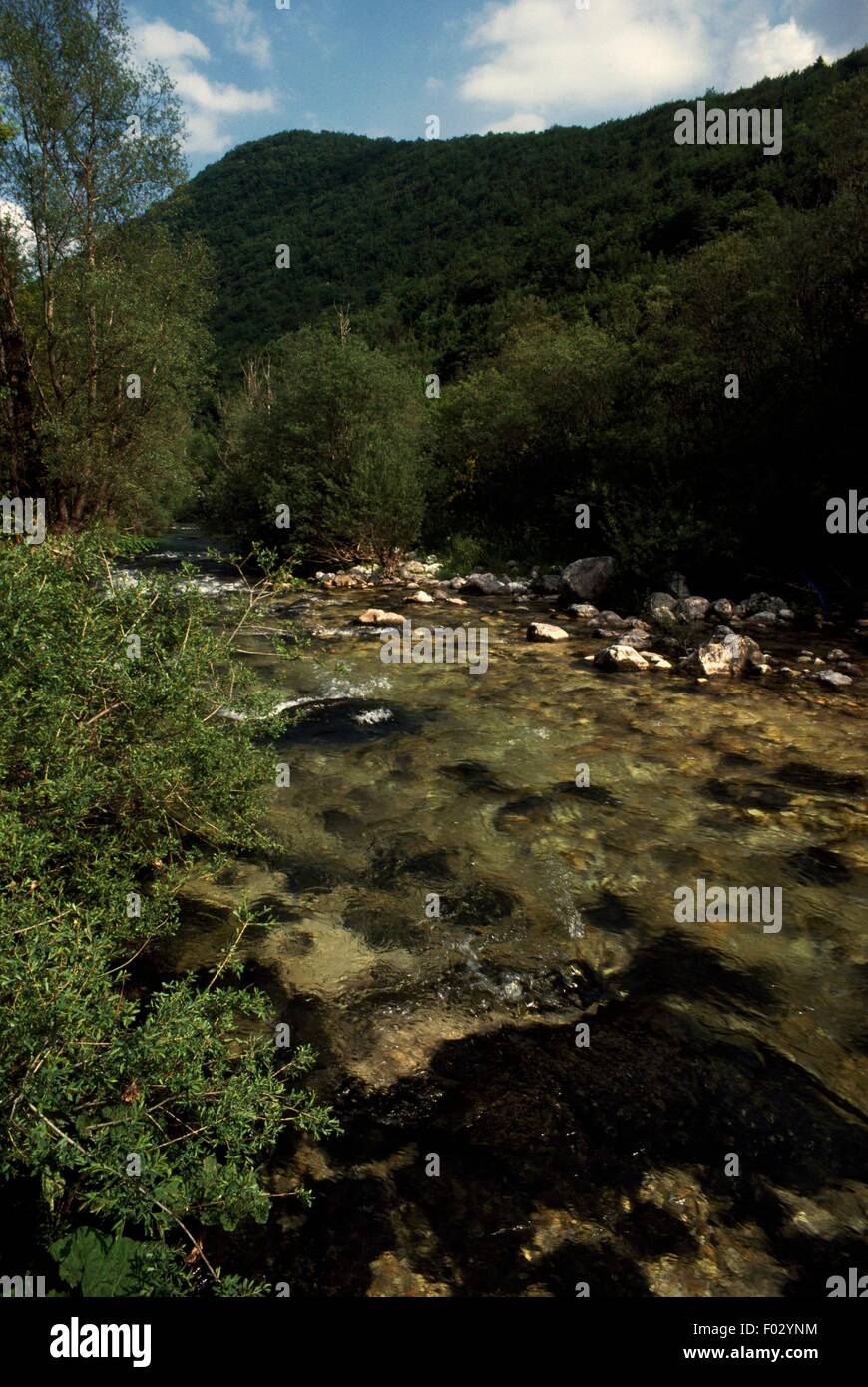 Sangro River, Abruzzo, Lazio and Molise National Park, Abruzzo, Italy ...