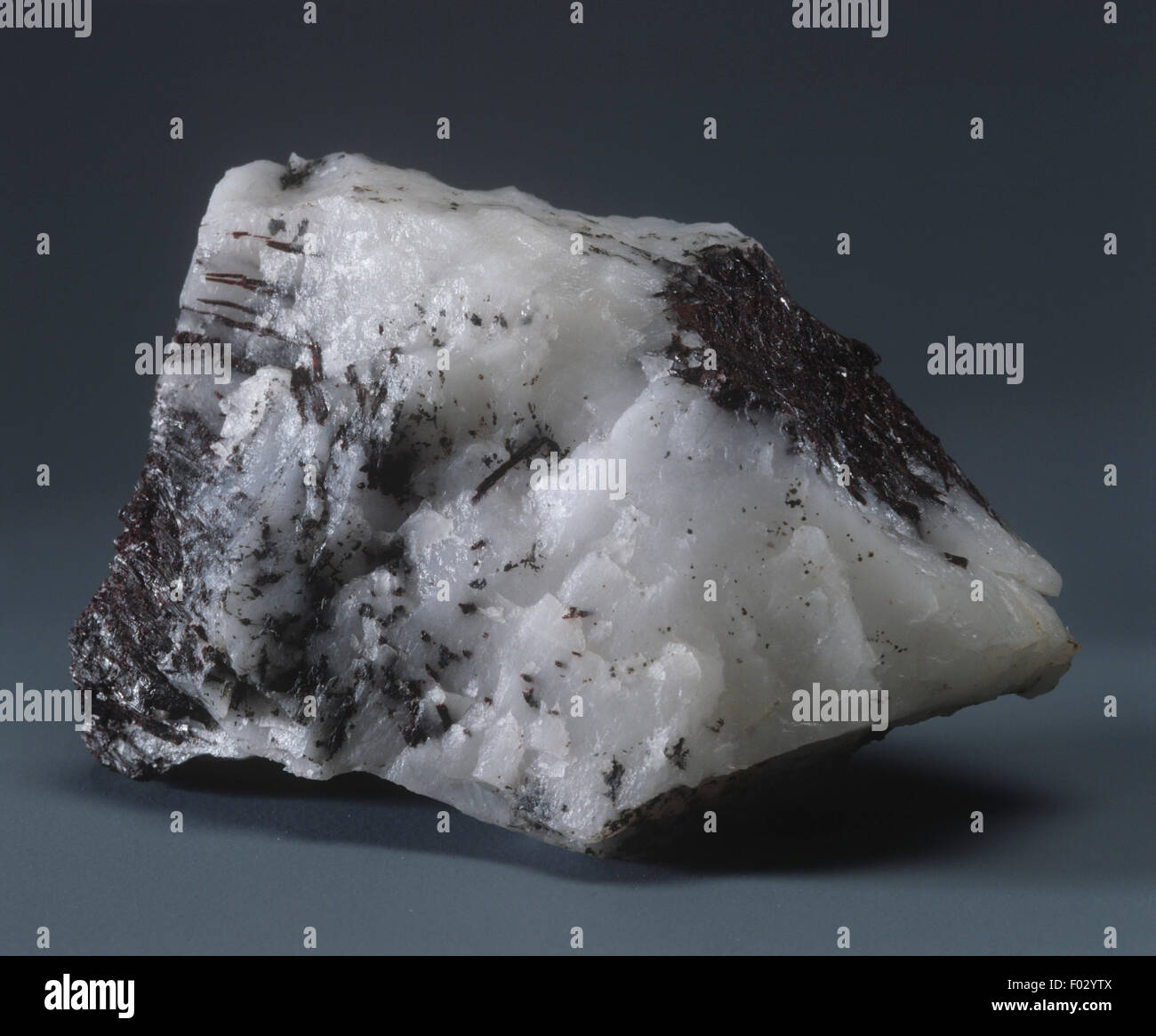 Violane hi-res stock photography and images - Alamy