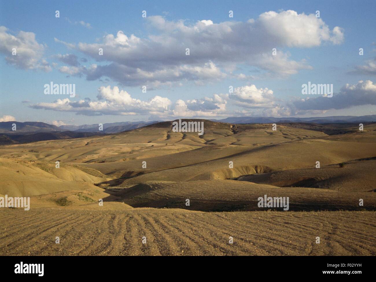 Landscape between tlemcen and maghnia hi-res stock photography and ...