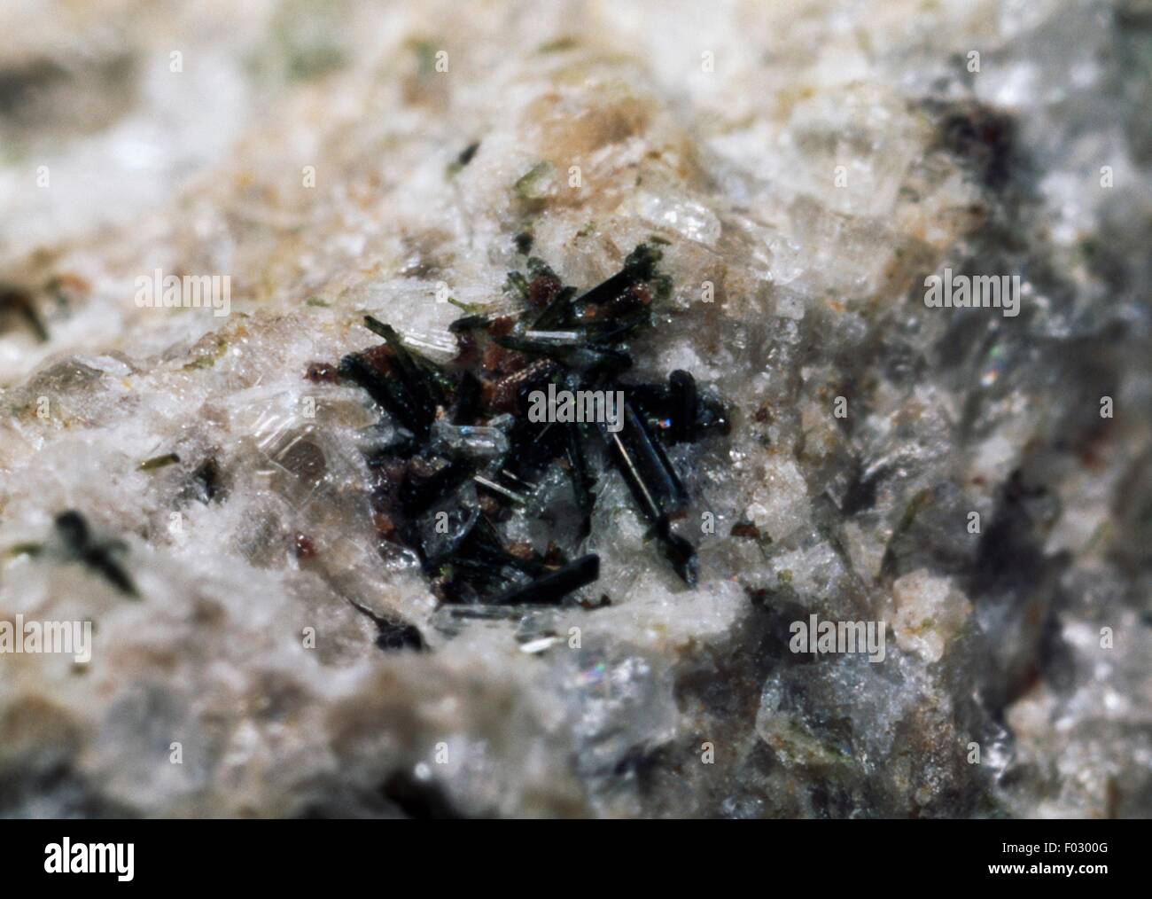 Enstatite hi-res stock photography and images - Alamy
