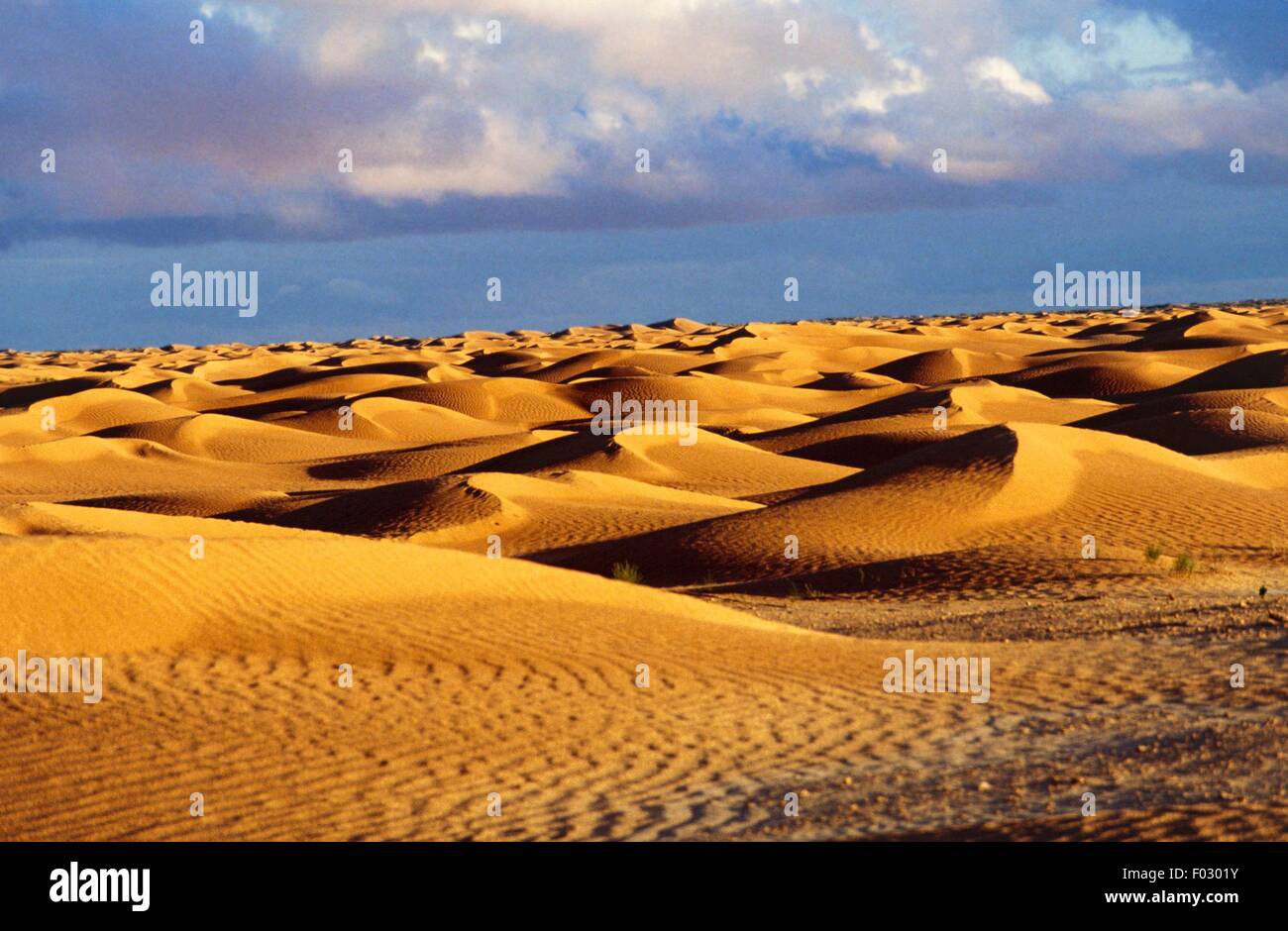 Sand dunes near Douz, Grand Erg Oriental, Sahara Desert, Tunisia Stock ...