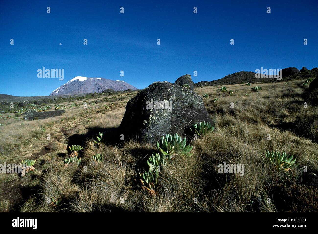 Panorama of Kilimanjaro between Horombo Hut and between Kibo Hut ...