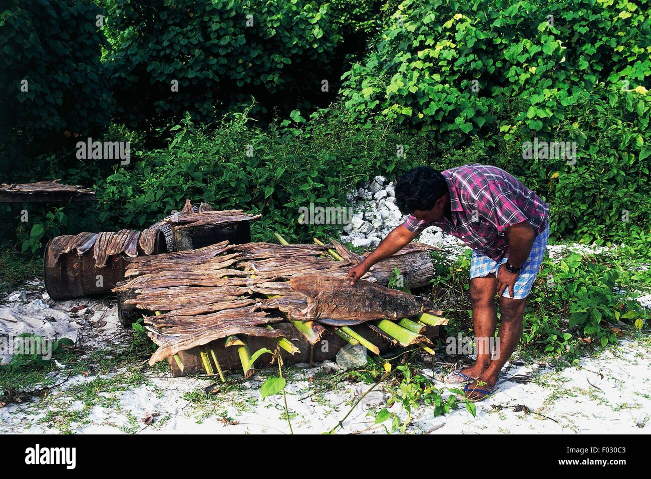 Drying fish, Madoogali, The Maldives Stock Photo - Alamy