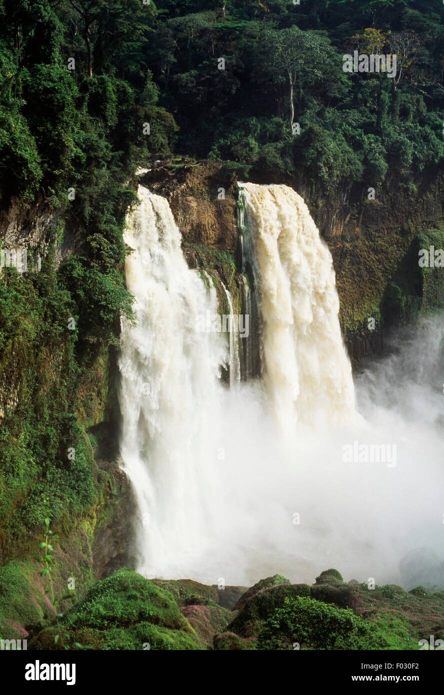 Ekom Nkam waterfalls, near Nkongsamba, Littoral region, Cameroon Stock ...
