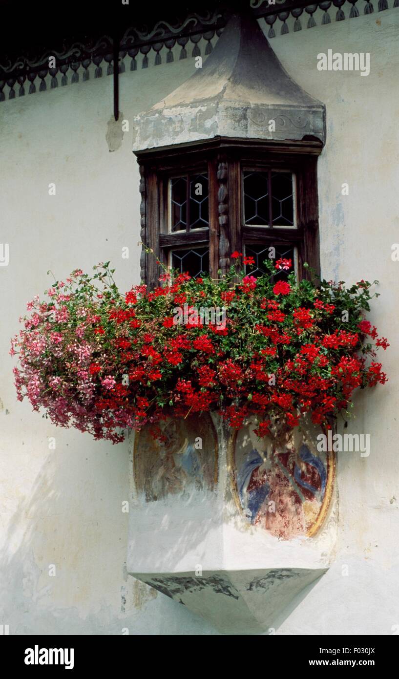 Protruding window with flowers, Tyrol, Austria Stock Photo - Alamy