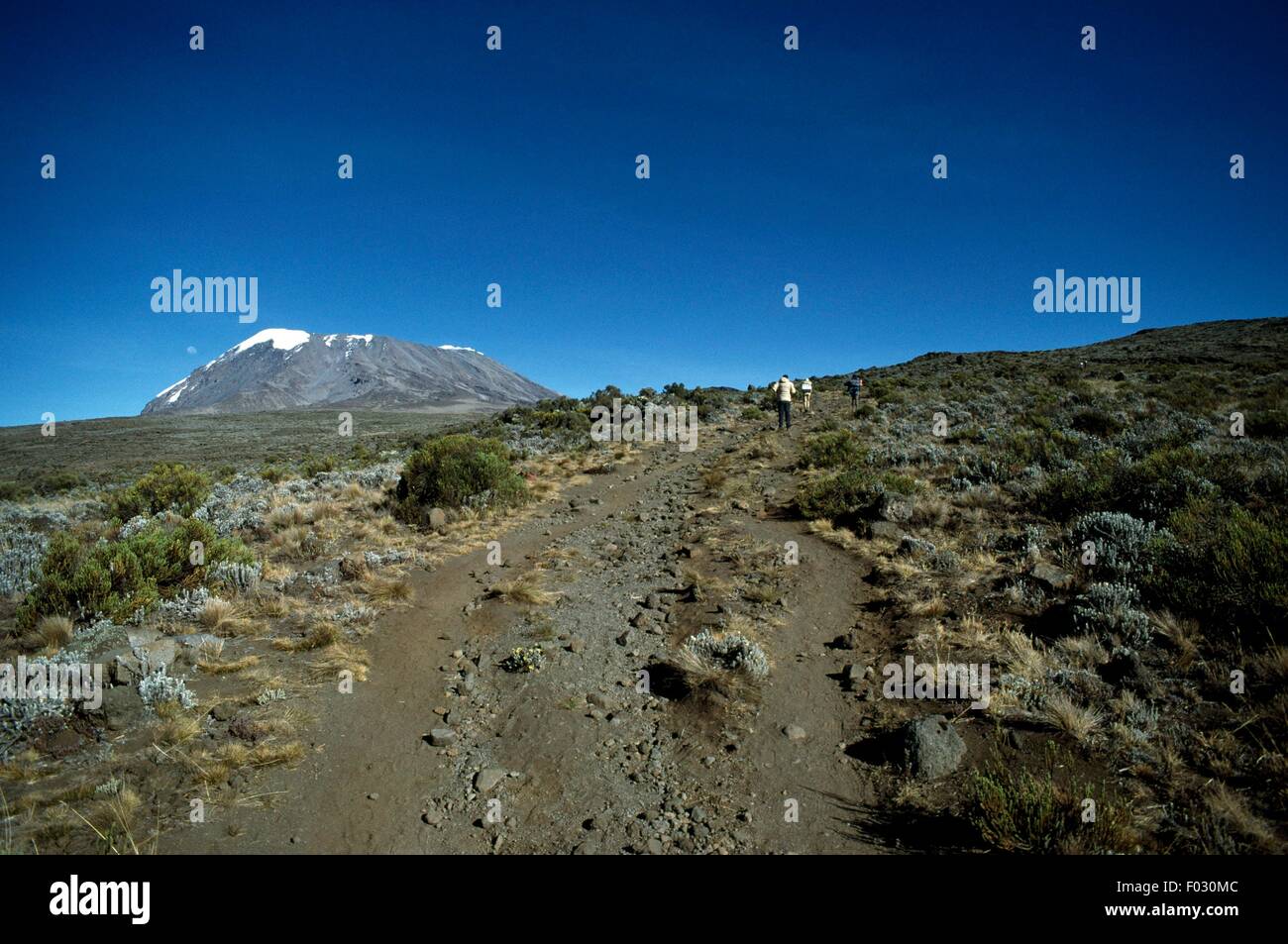 Panorama of Kilimanjaro between Horombo Hut and Kibo Hut, Kilimanjaro ...