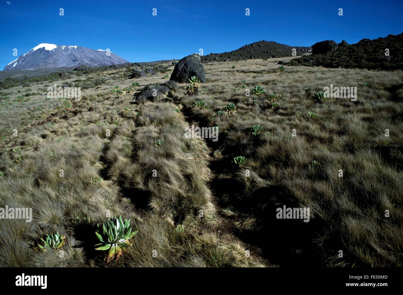 Panorama of Kilimanjaro between Horombo Hut and Kibo Hut, Kilimanjaro ...