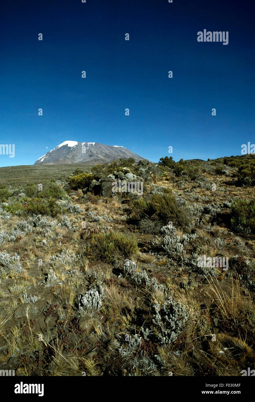 Panorama of Kilimanjaro between Horombo Hut and Kibo Hut, Kilimanjaro ...