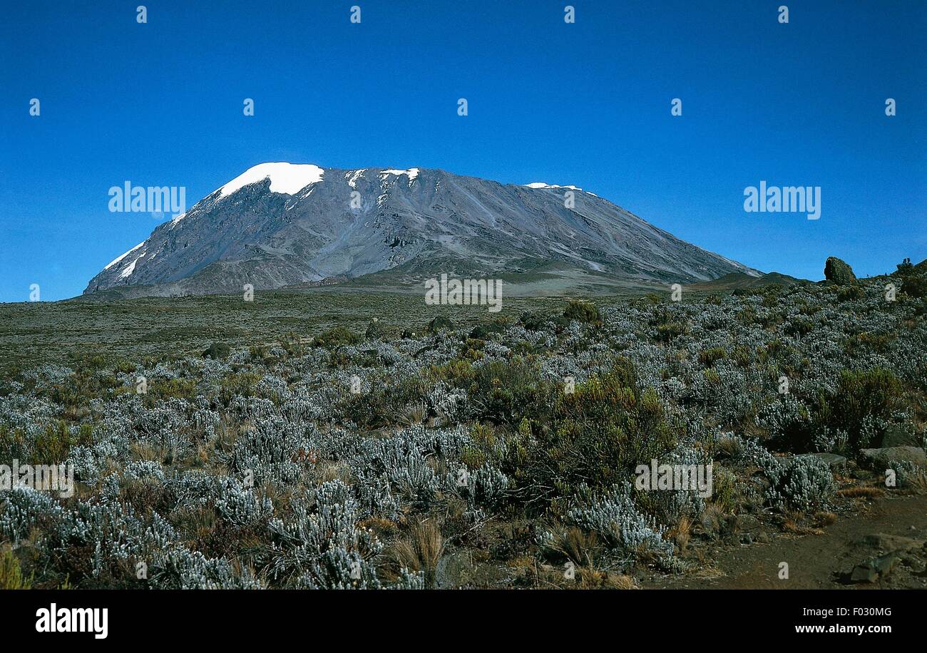 Kilimanjaro Group between Horombo Hut and Kibo Hut, Kilimanjaro ...