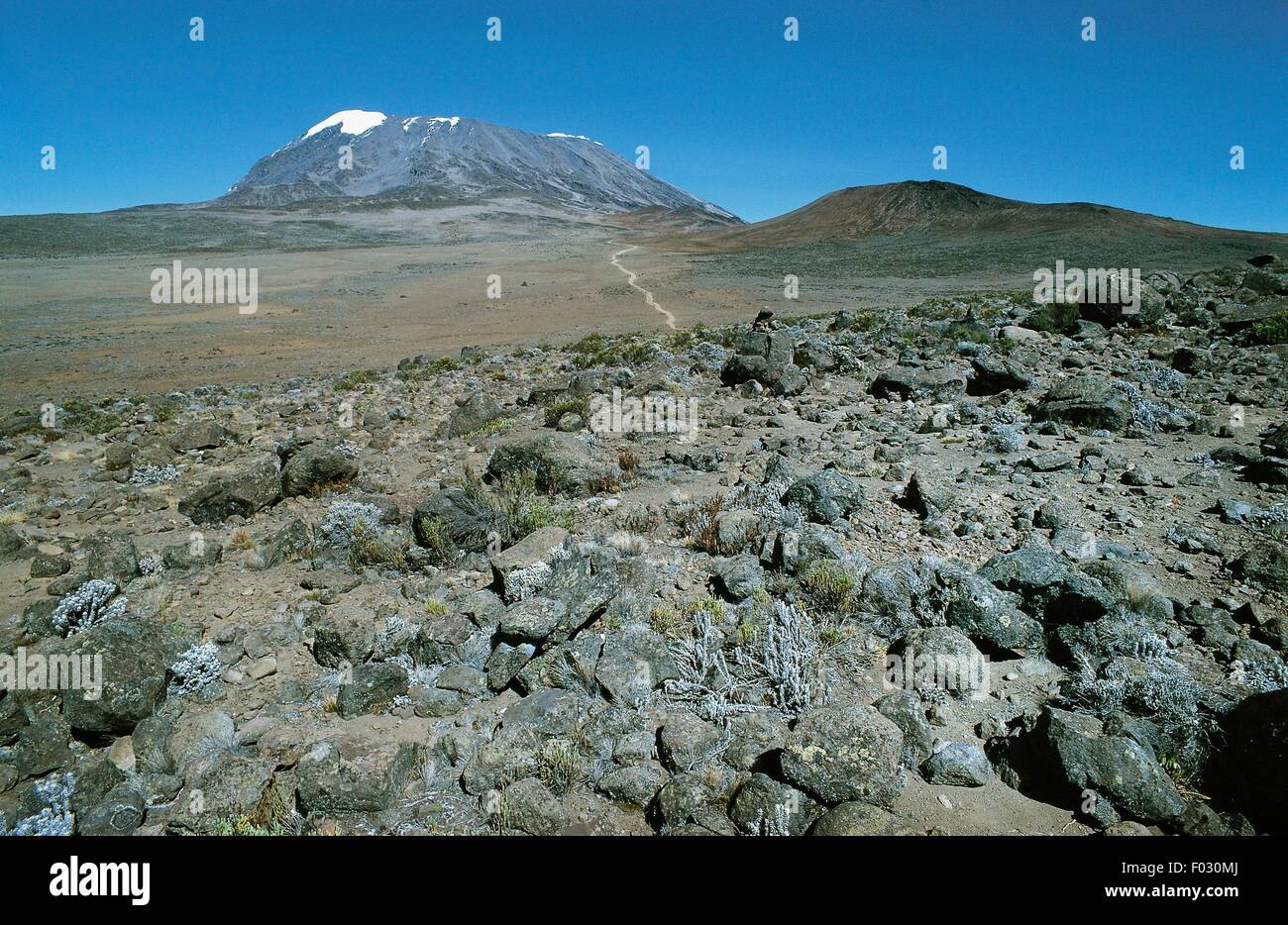 Kilimanjaro Group between Horombo Hut and Kibo Hut, Kilimanjaro ...