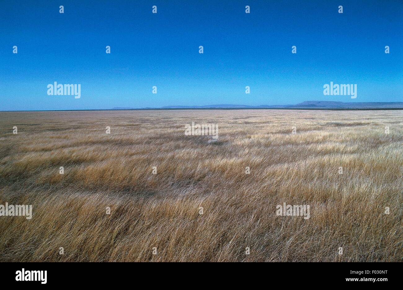 Open savannah, Serengeti National Park (UNESCO World Heritage List ...