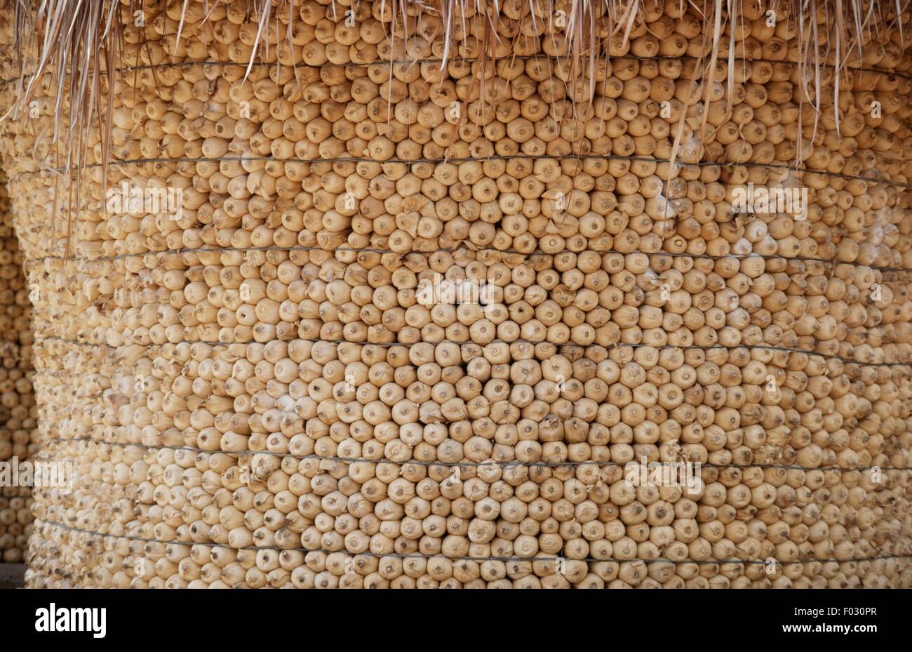 Preserving cultures hi-res stock photography and images - Alamy