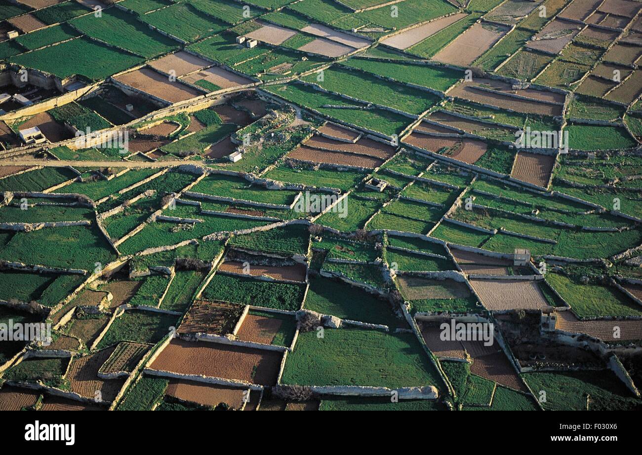 Fields of crops divided by stone walls, Gozo island, Malta Stock Photo ...
