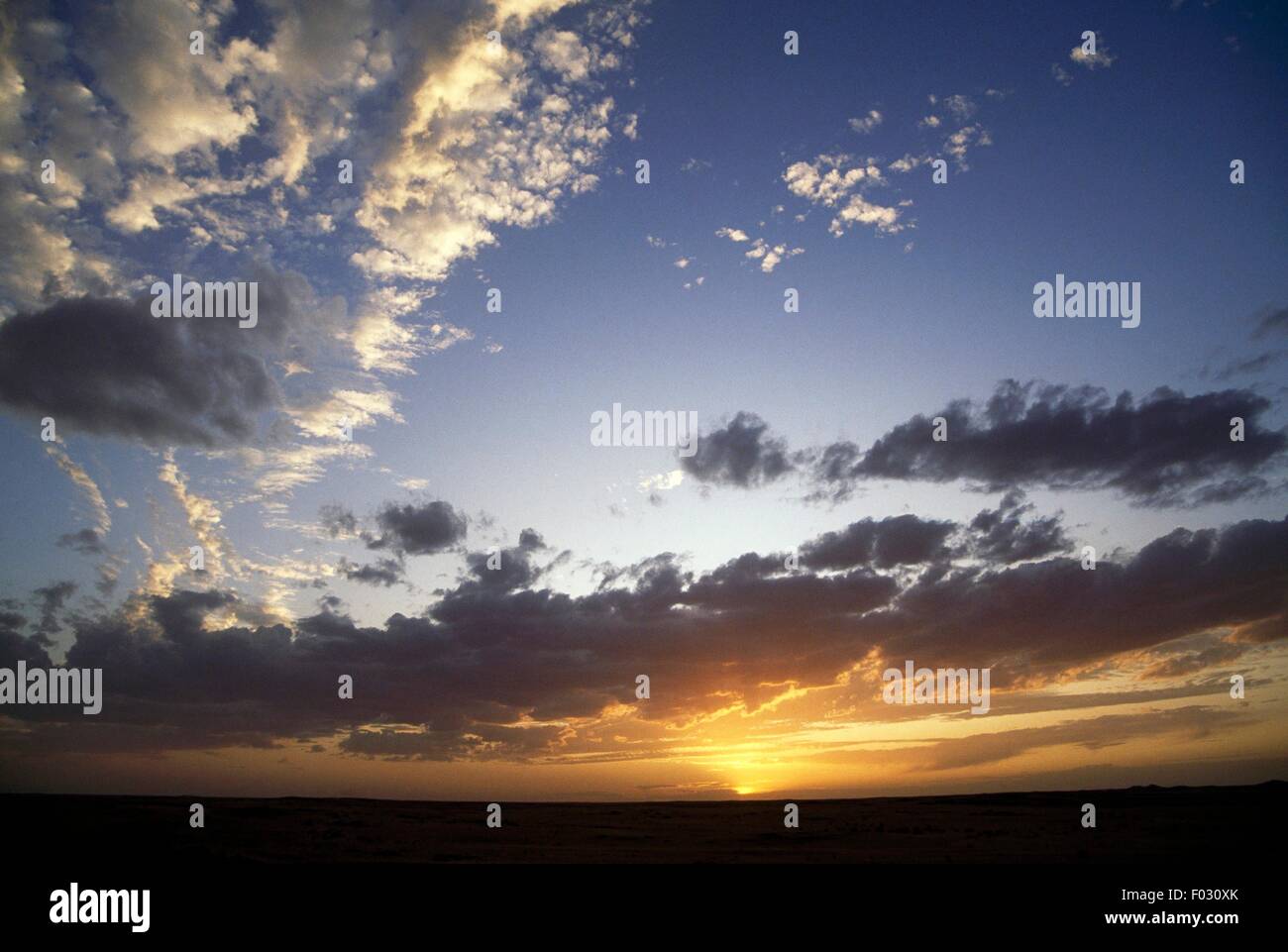 Bayuda hi-res stock photography and images - Alamy