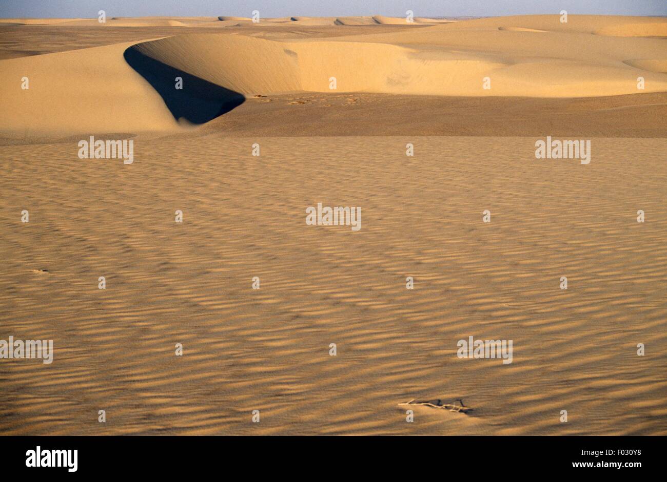 Sand dunes near Old Dongola, Nubian Desert, Sahara Desert, Sudan Stock ...