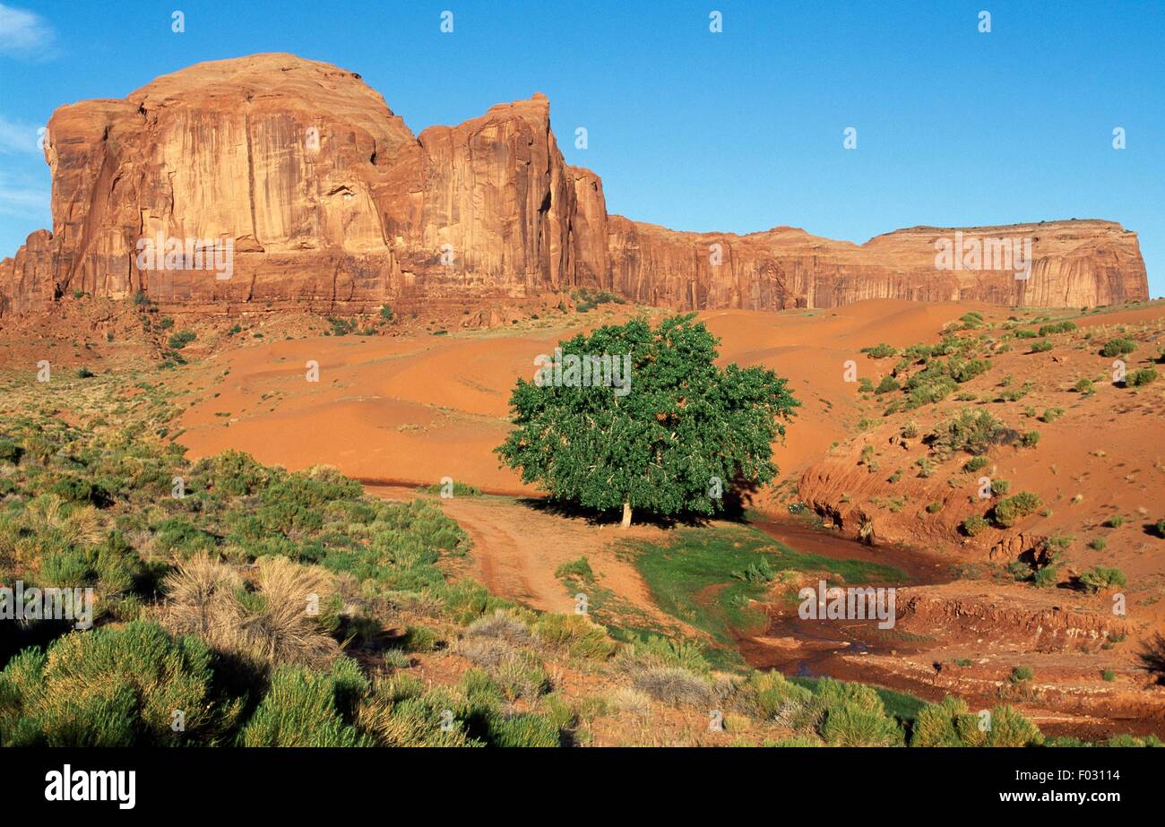 Sand springs in monument valley hi-res stock photography and images - Alamy