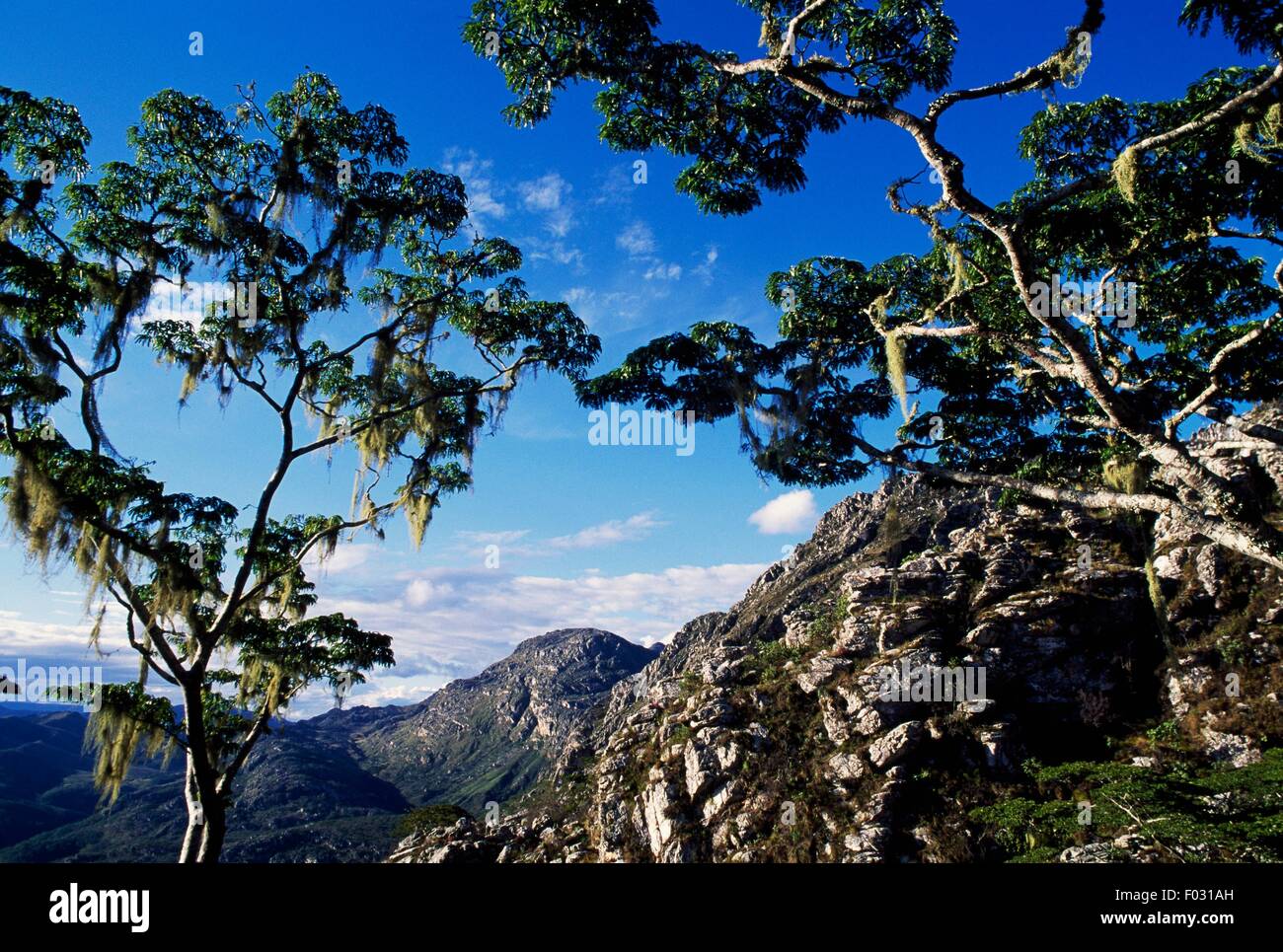 Chimanimani national park hi-res stock photography and images - Alamy
