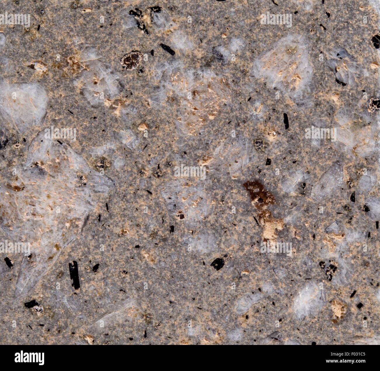 Trachyte, igneous rock, from Colli Euganei, Veneto, Italy Stock Photo ...