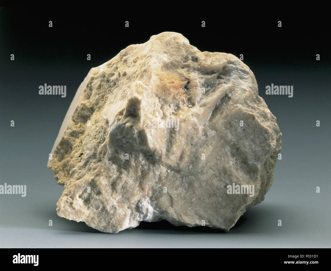 Nummulitic limestone hi-res stock photography and images - Alamy