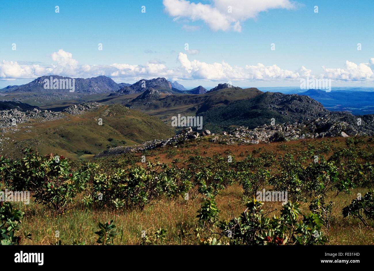 Elevation, Chimanimani National Park, Zimbabwe Stock Photo - Alamy