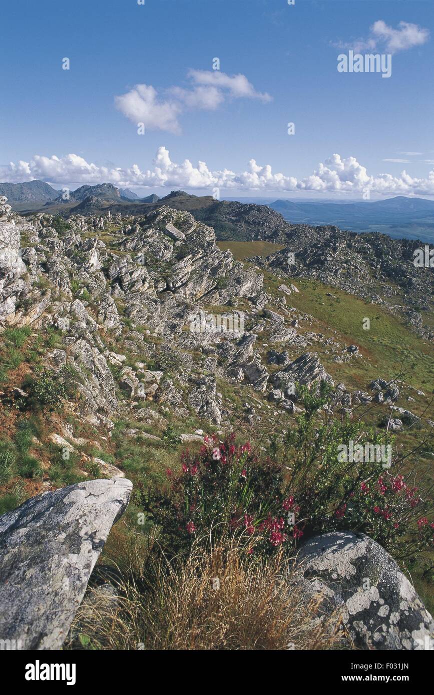 Chimanimani zimbabwe hi-res stock photography and images - Alamy