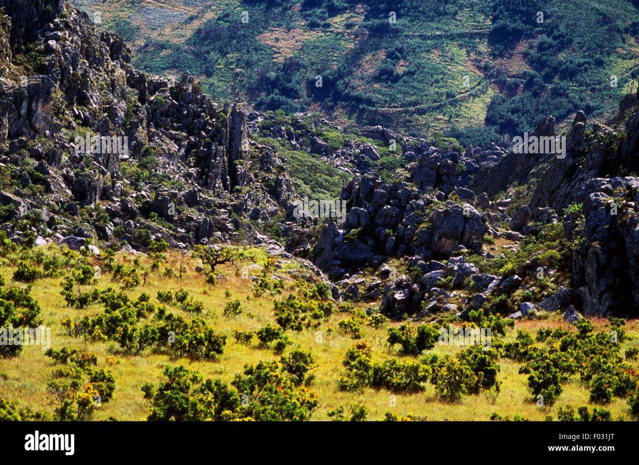 Chimanimani national park hi-res stock photography and images - Alamy
