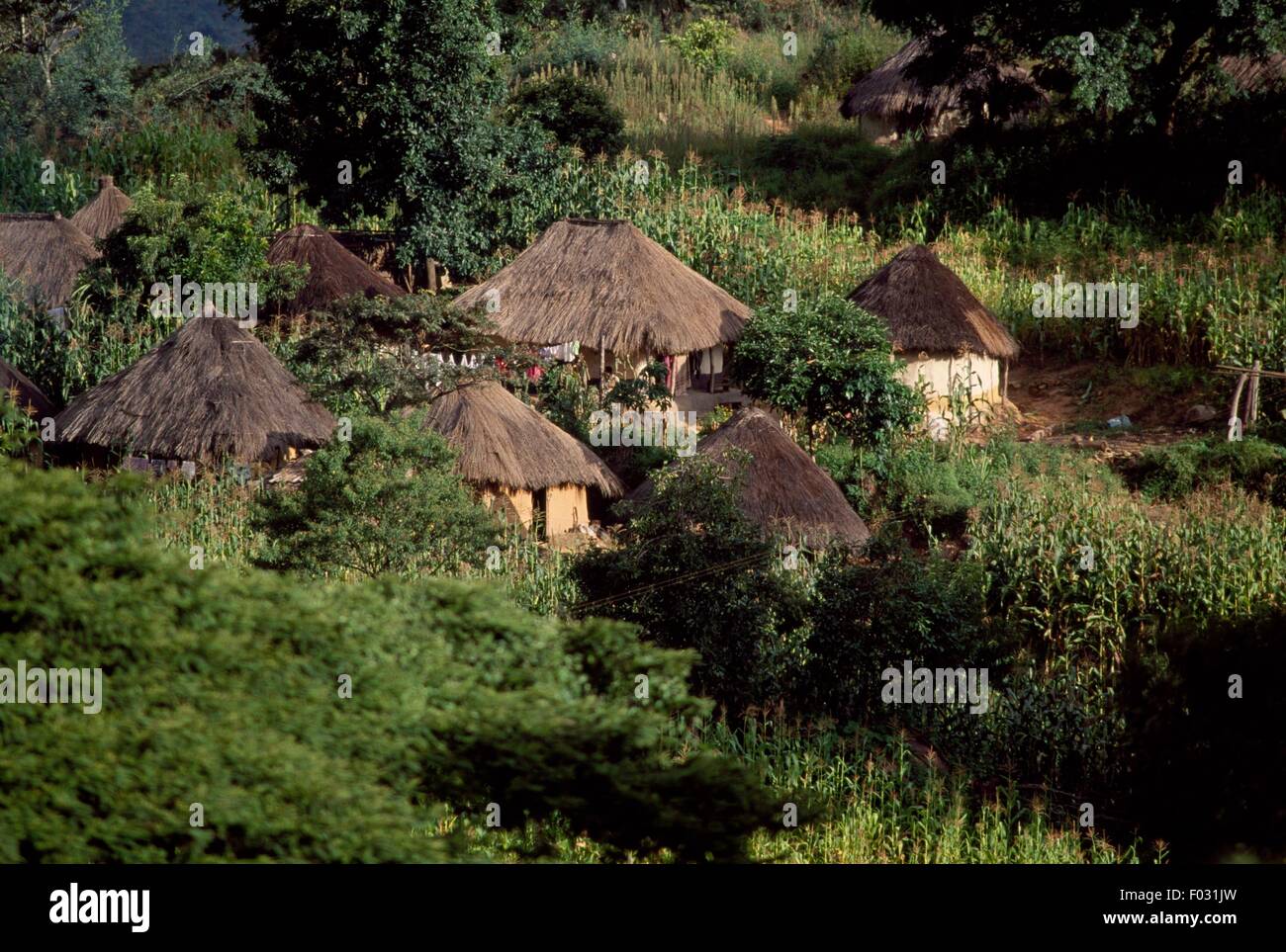 Traditional huts in the Chimanimani District, Zimbabwe Stock Photo - Alamy