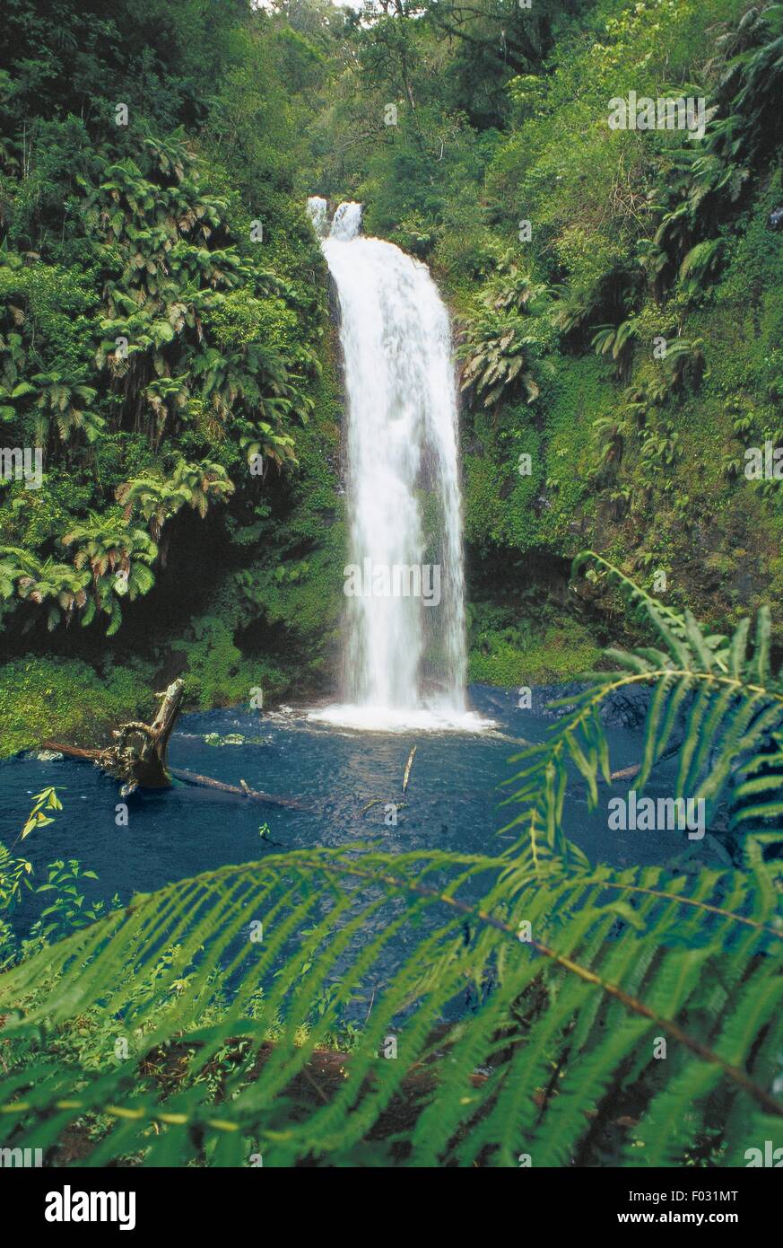 Waterfall, Amber Mountain National Park, Madagascar Stock Photo - Alamy