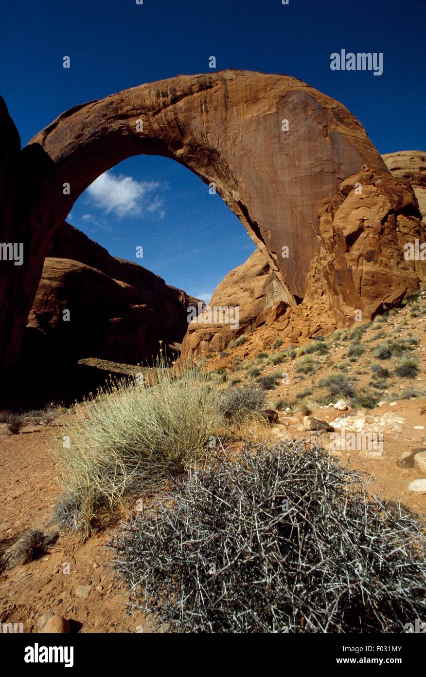 Natural rock arch, Rainbow Bridge National Monument, Utah, United ...