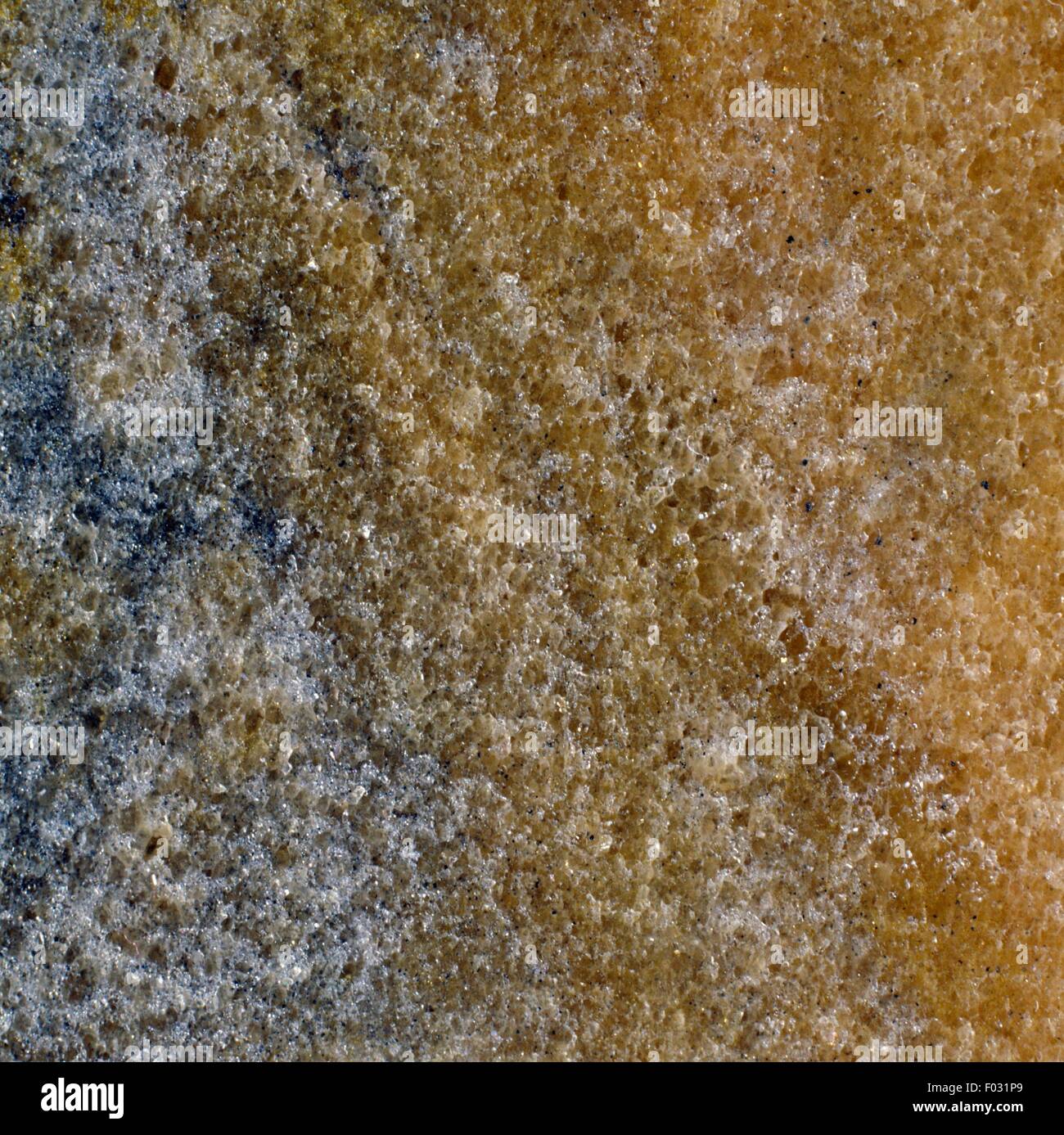 Quartzite metamorphic rock hi-res stock photography and images - Alamy