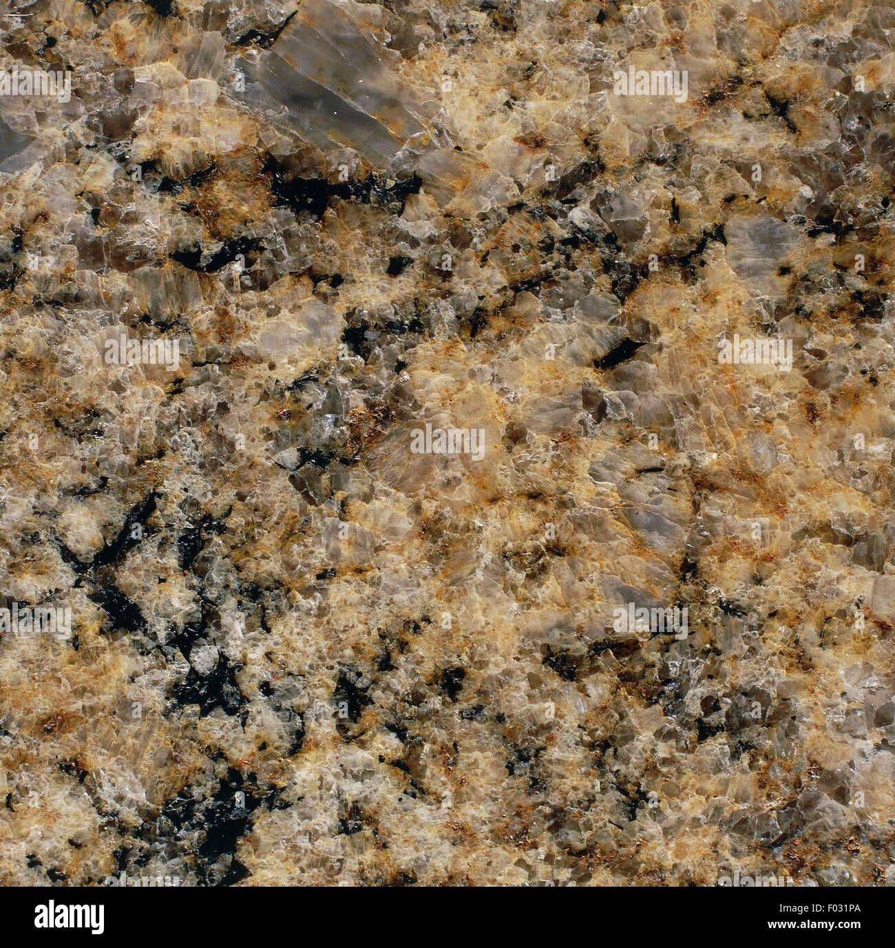 Migmatite, mixture of metamorphic rock and igneous rock Stock Photo - Alamy