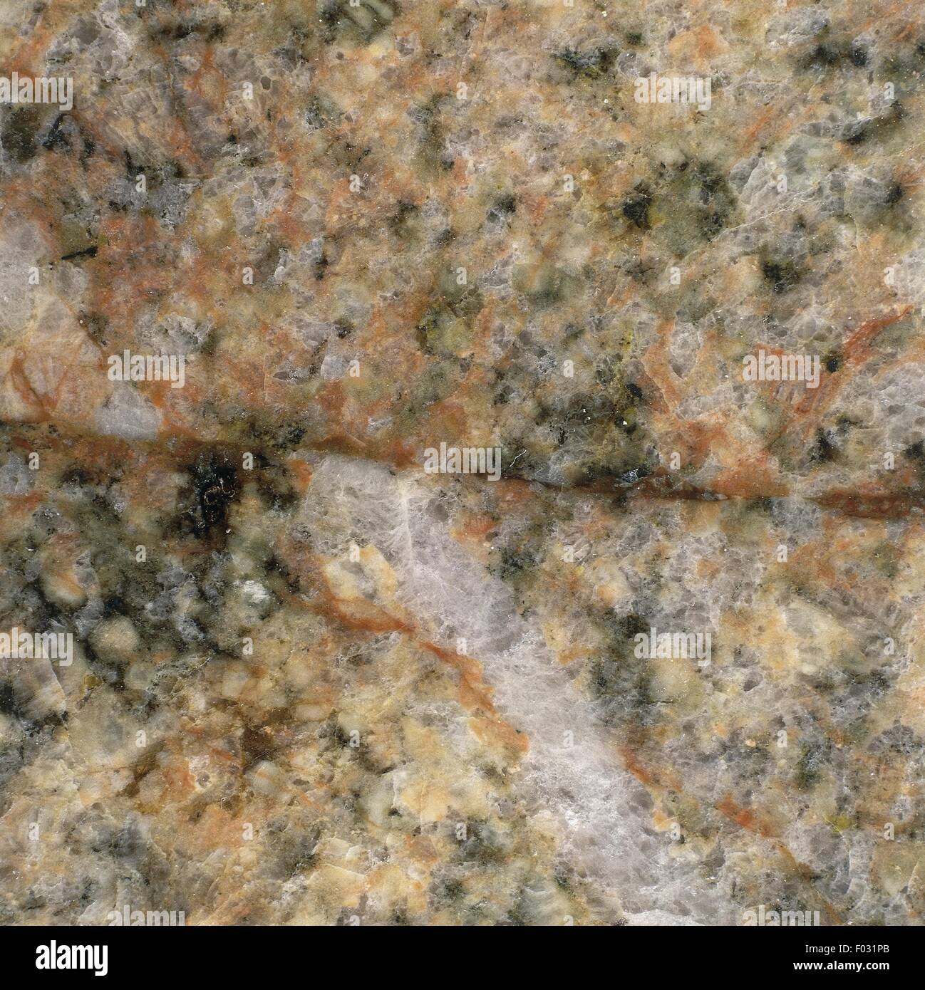 Migmatite hi-res stock photography and images - Alamy