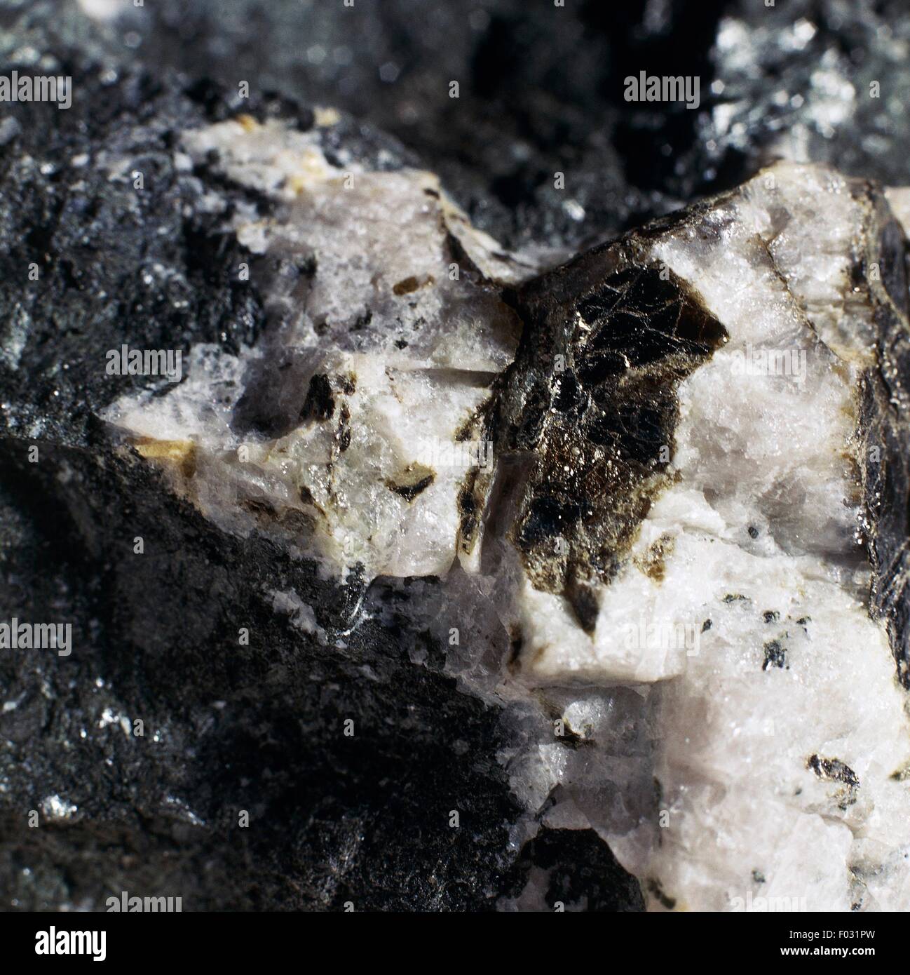 Hornblendite, igneous rock, from Valcamonica, Lombardy, Italy Stock ...