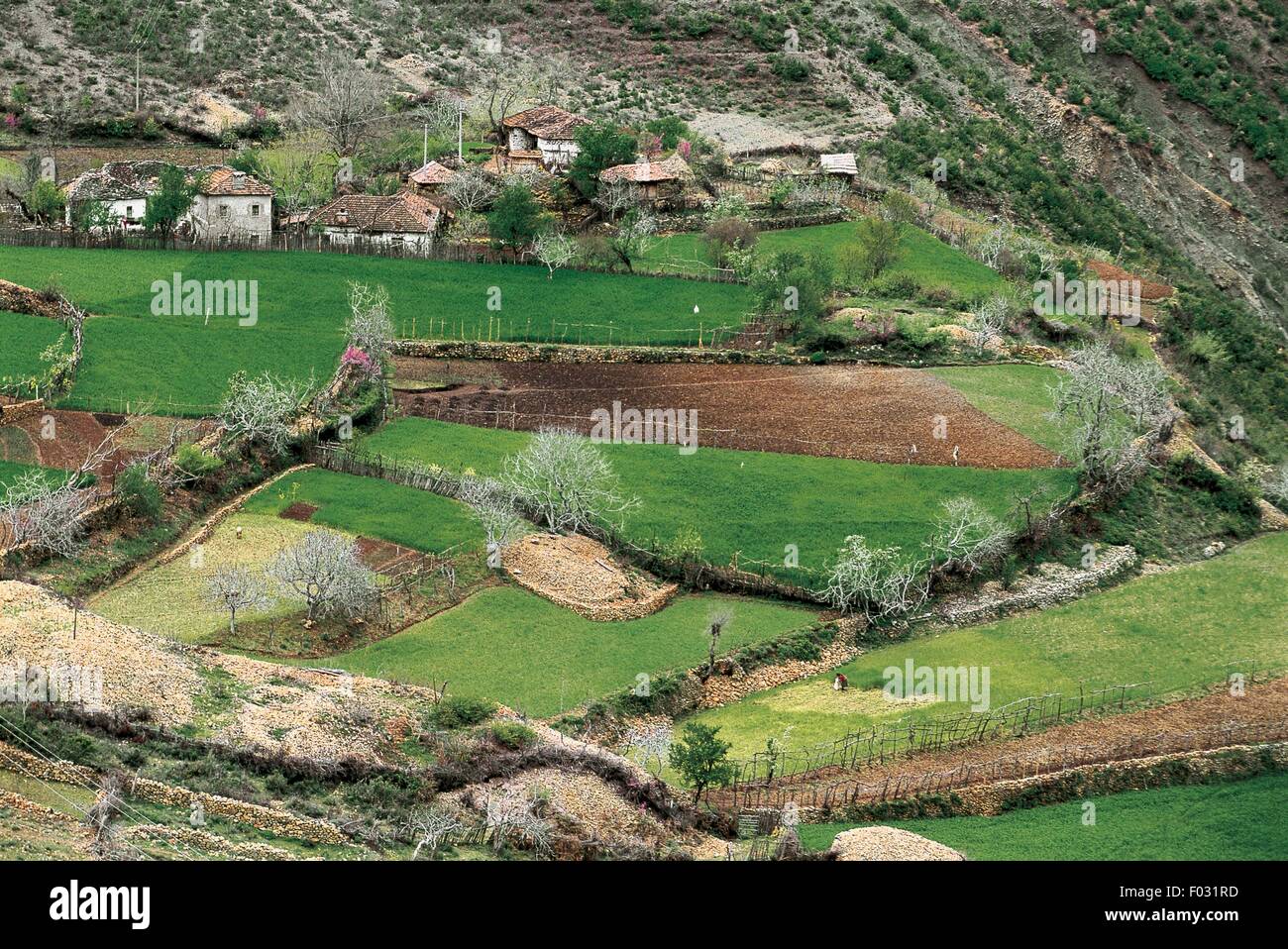 Devoll valley between Maliq and Gramsh, Albania Stock Photo - Alamy